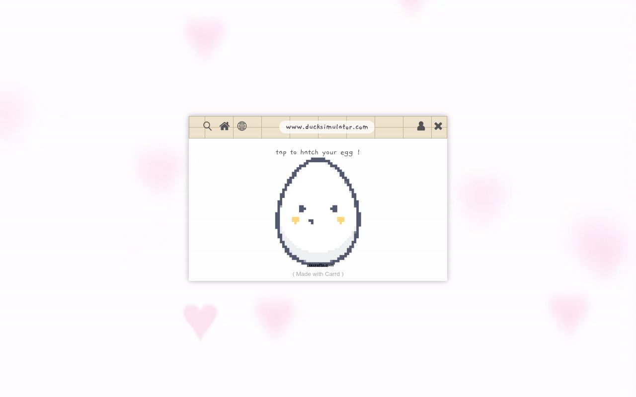 adopt a duck!